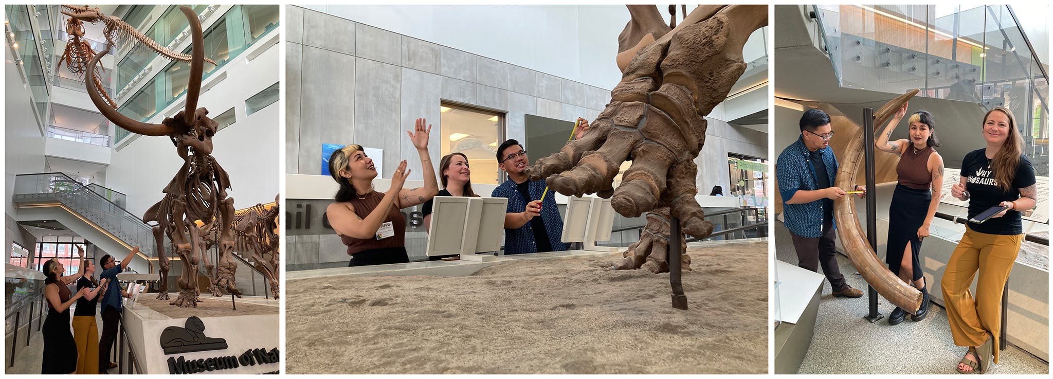 Eons Realistic Articulated Wooly Mammoth Figures - BackerKit