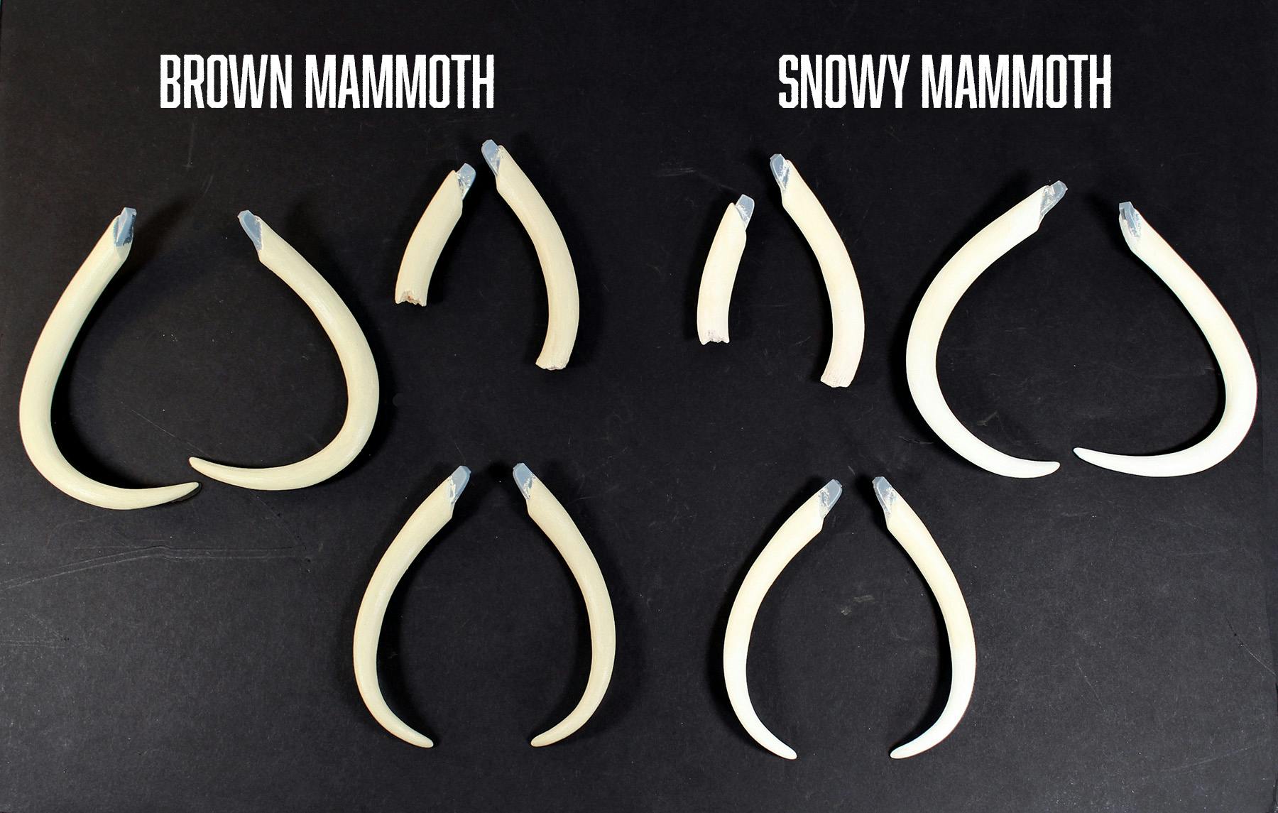 Eons Realistic Articulated Wooly Mammoth Figures Project Update ...