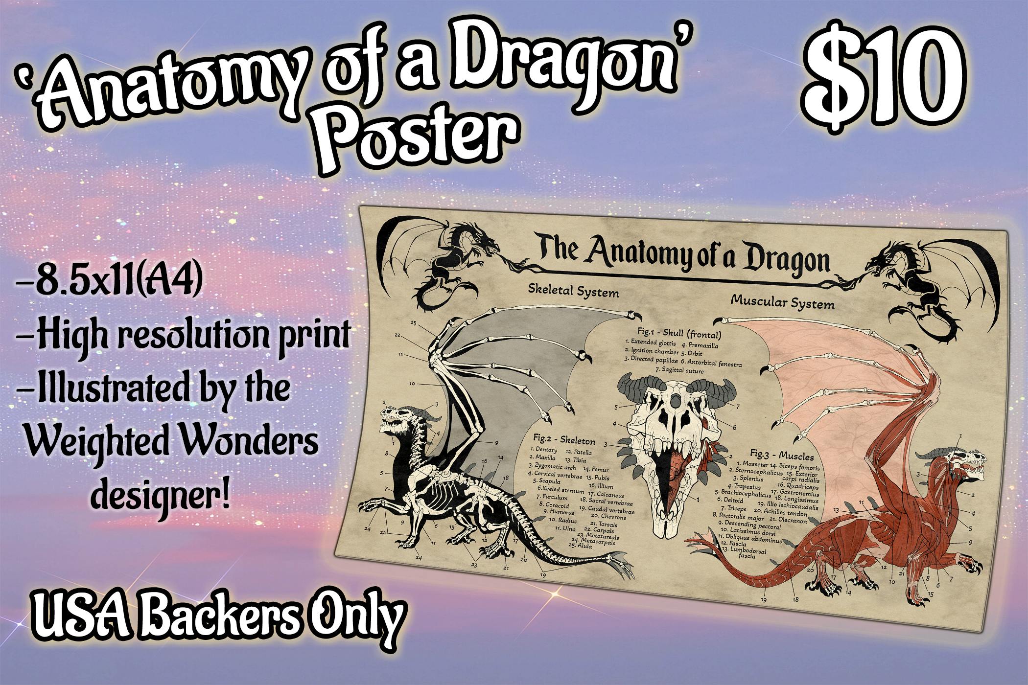 Weighted Wonders - Weighted & Warmable Dragon Plush - BackerKit