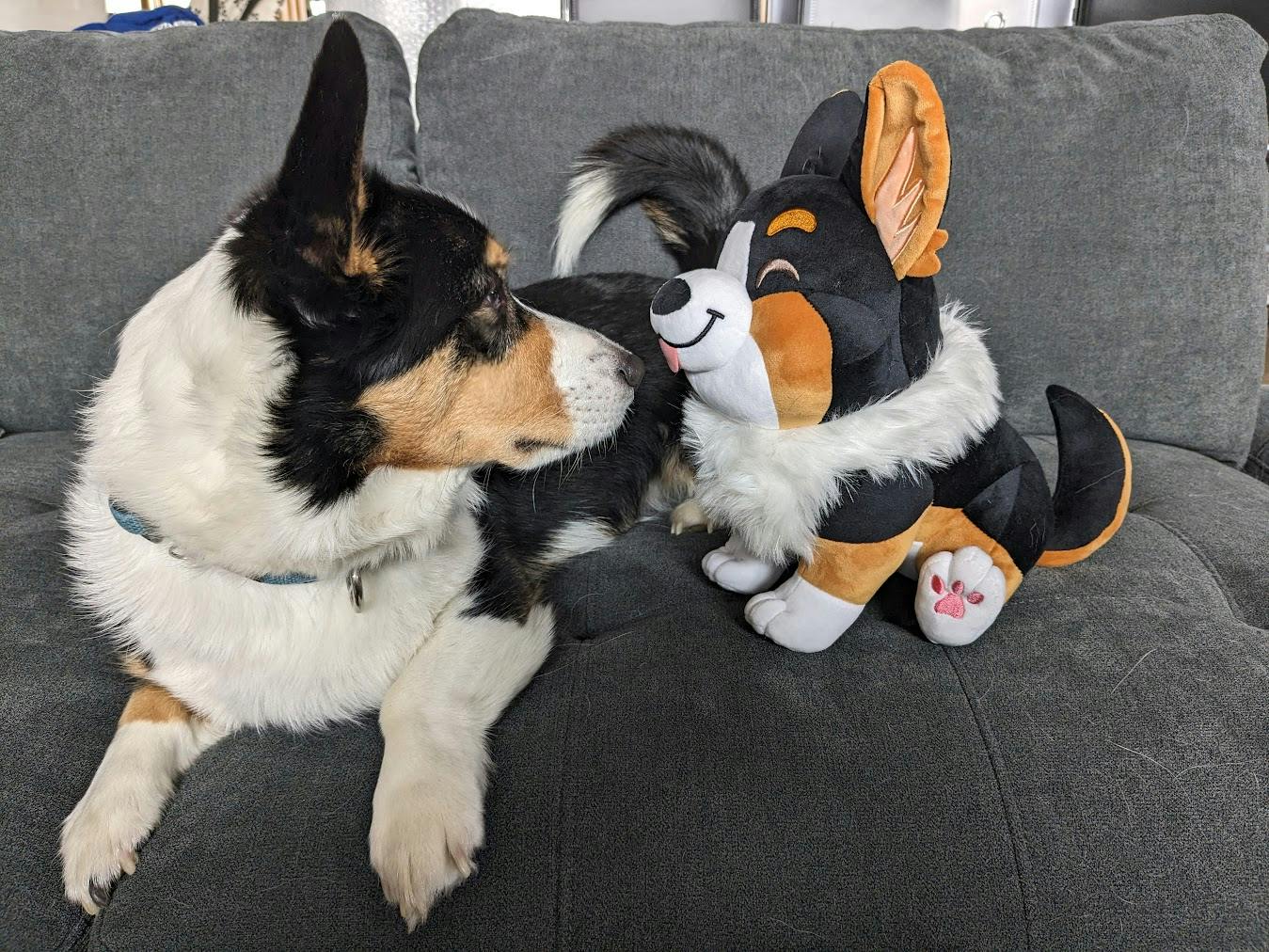 Cosplay, Corgis & Chaos - BackerKit