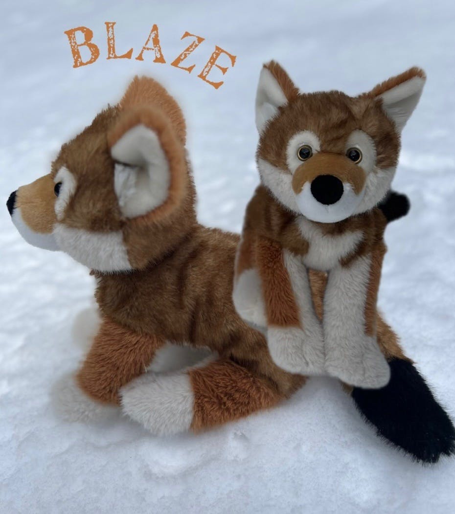Get Ready to Adopt An Endangered Wolf Plush!