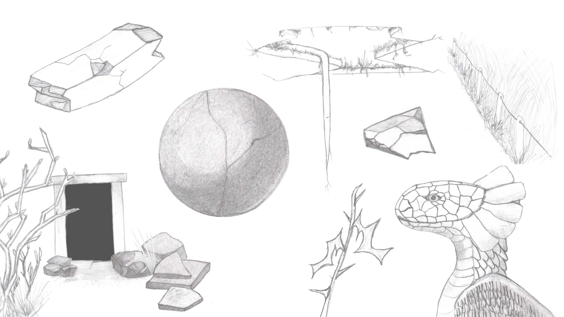 A Construct's Nature, a solo-journaling TTRPG Project Update: A ...