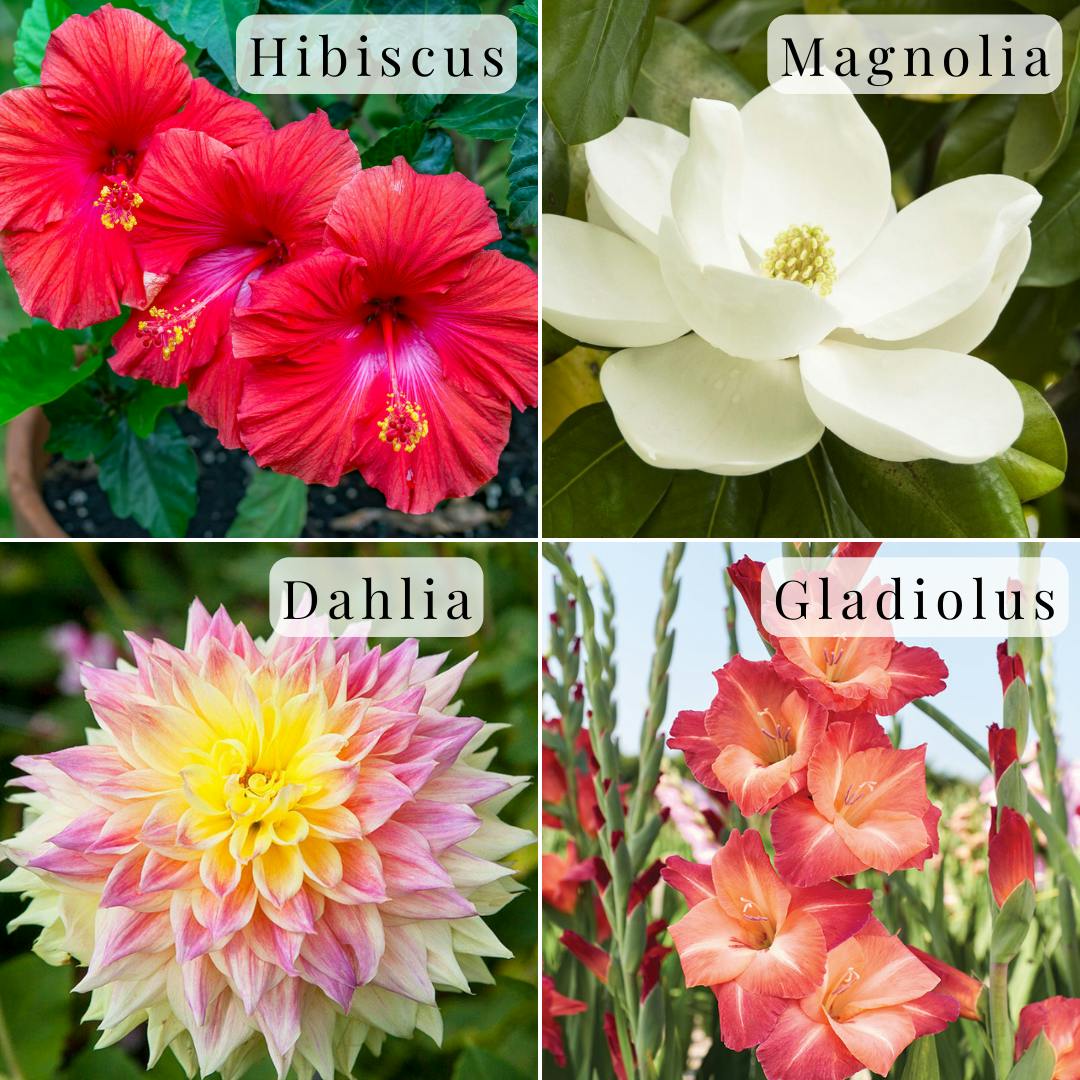 History of Floral Fads Project Update: POLL : Which flower pin should I ...