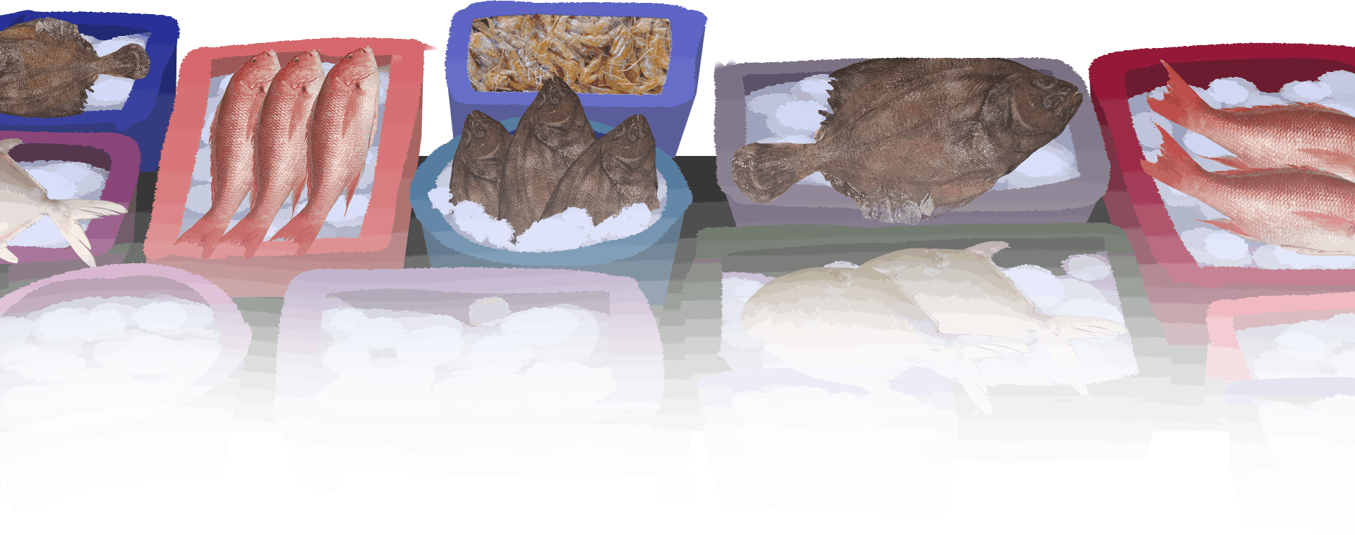 Fish Guts - BackerKit