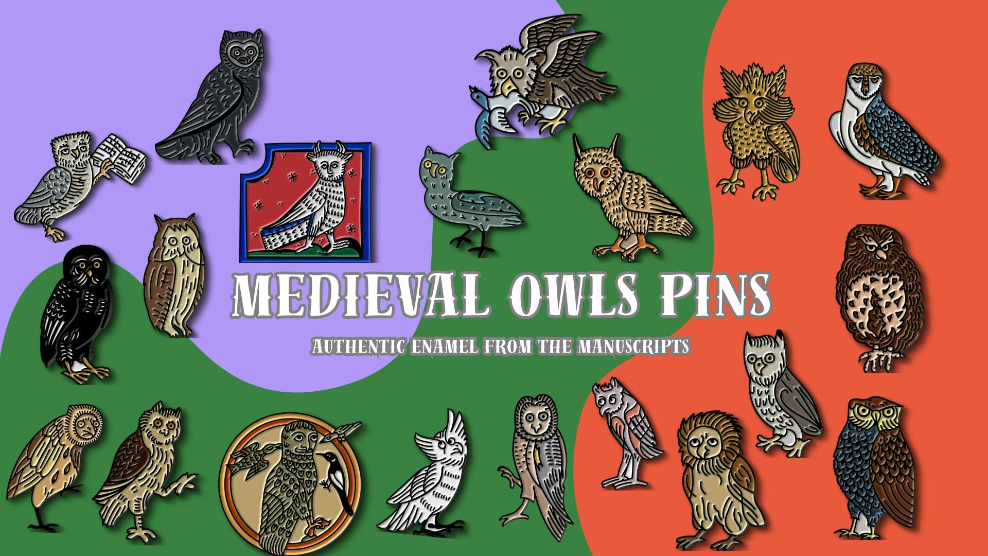 Medieval Owls: Enamel Pins Project Update: 🔓Unlocking Goals #1 - BackerKit