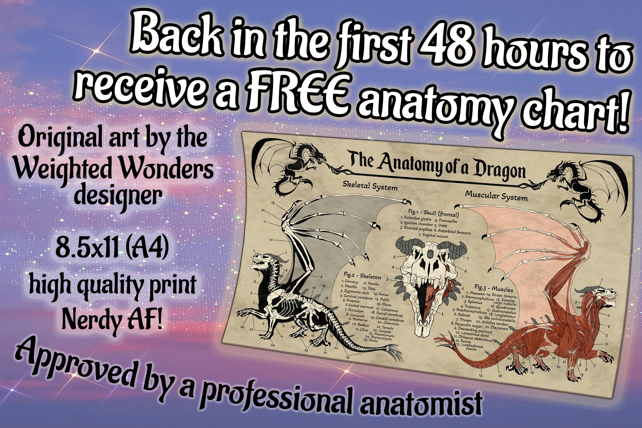 Weighted Wonders - Weighted & Warmable Dragon Plush - BackerKit