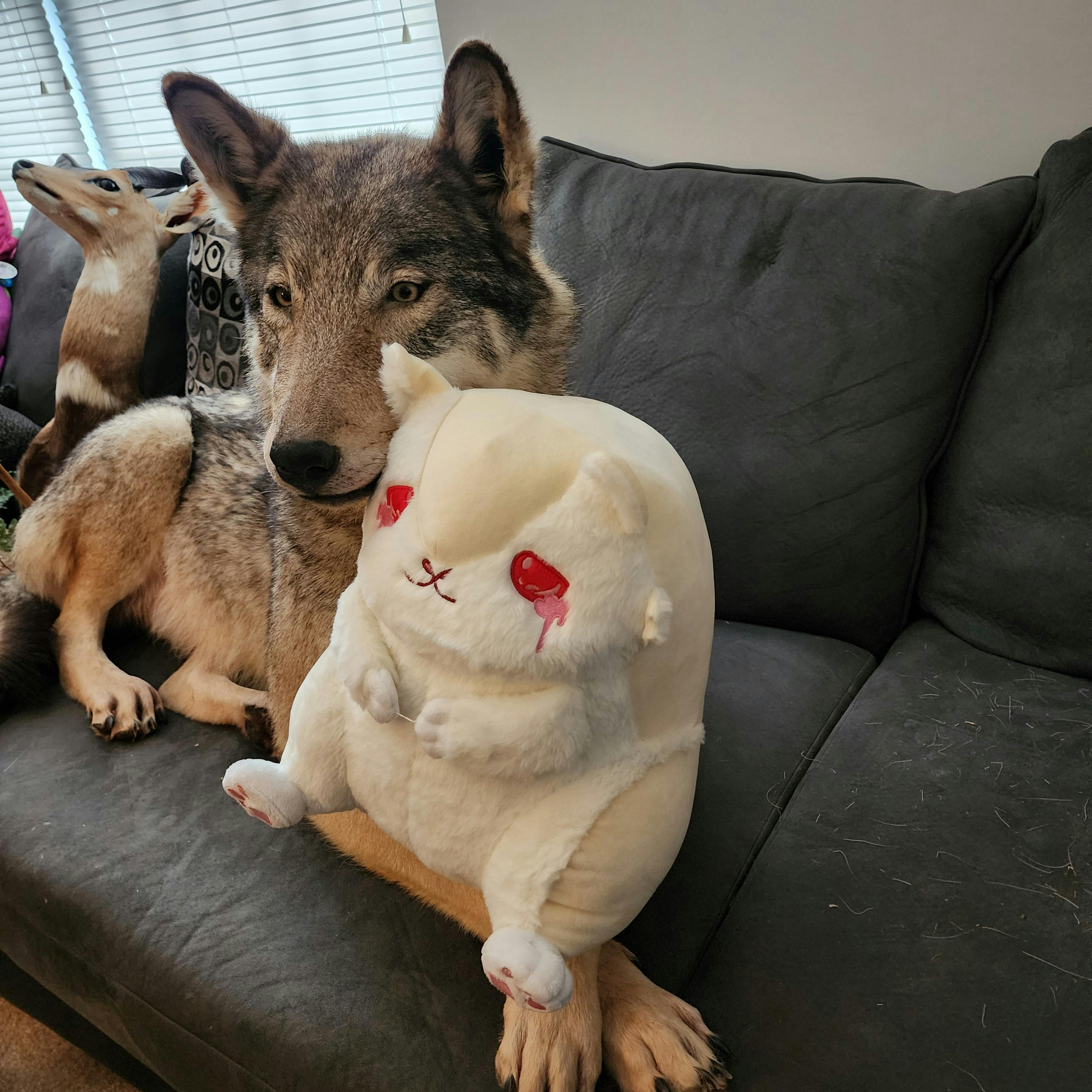 Perished Plushies | Extinct Mammal Edition - BackerKit