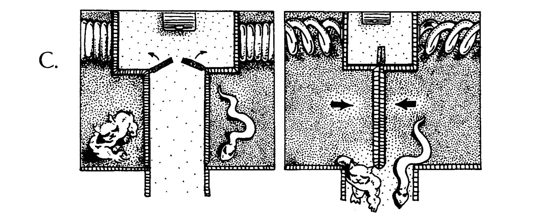 Grimtooth's Old-School Traps for 5E and DCC Updates - BackerKit