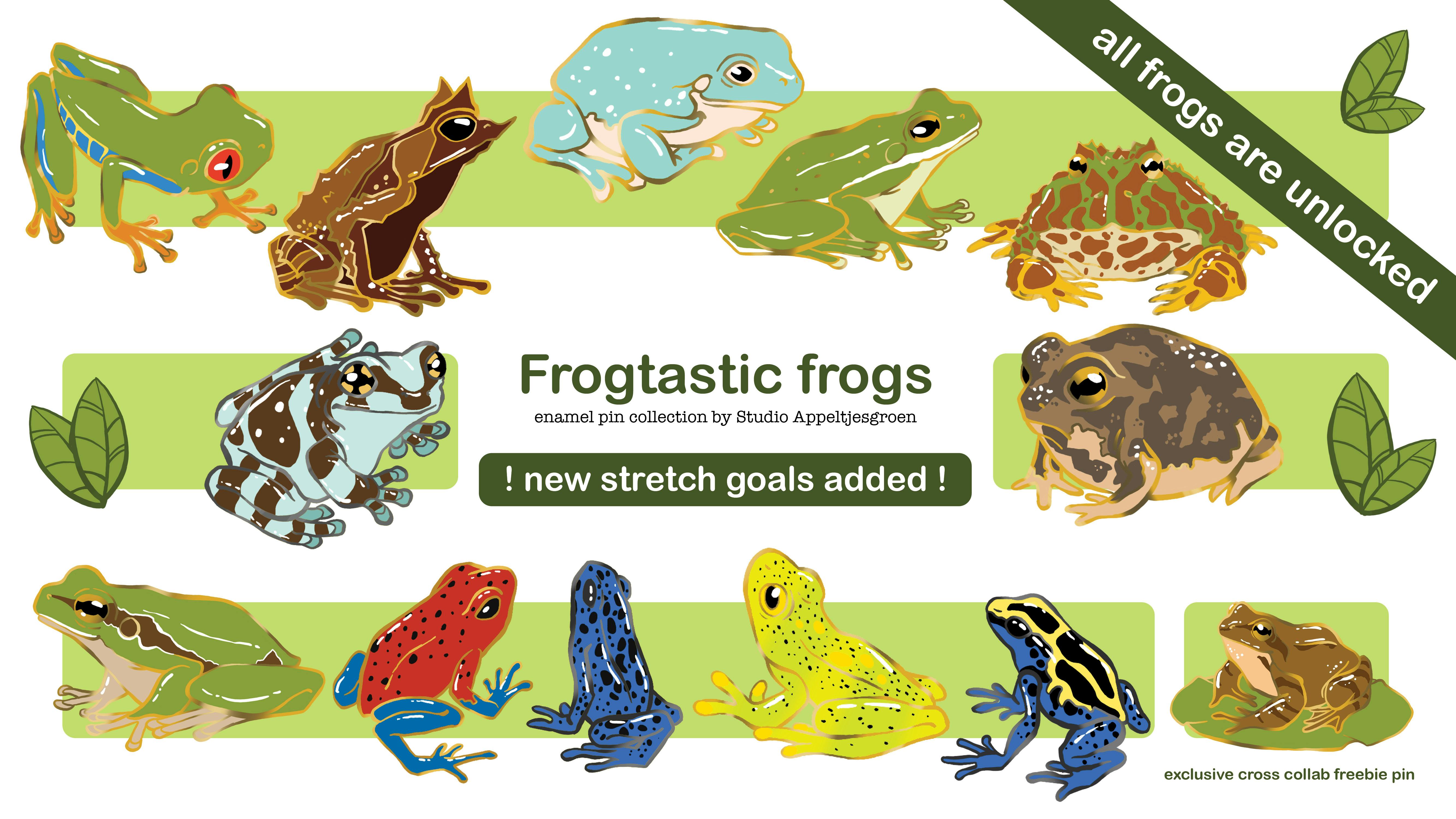 Frogtastic Frogs - Enamel Pins Project Update: Frog update #9 - Thank ...