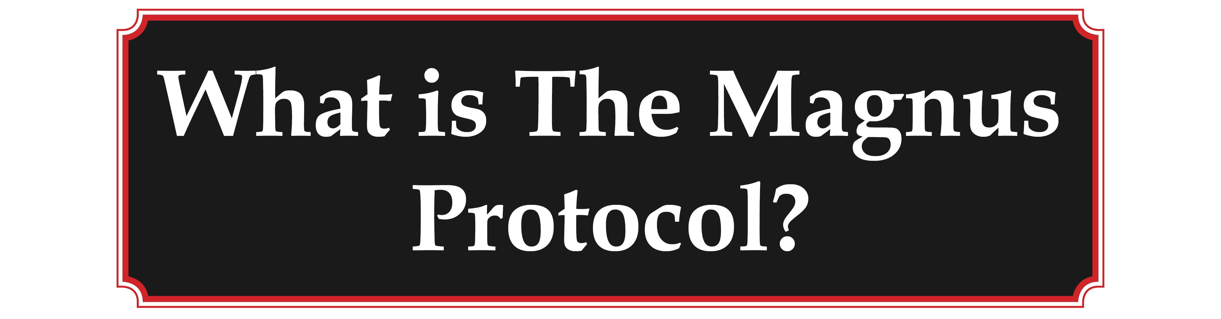 The Magnus Protocol Mysteries - BackerKit
