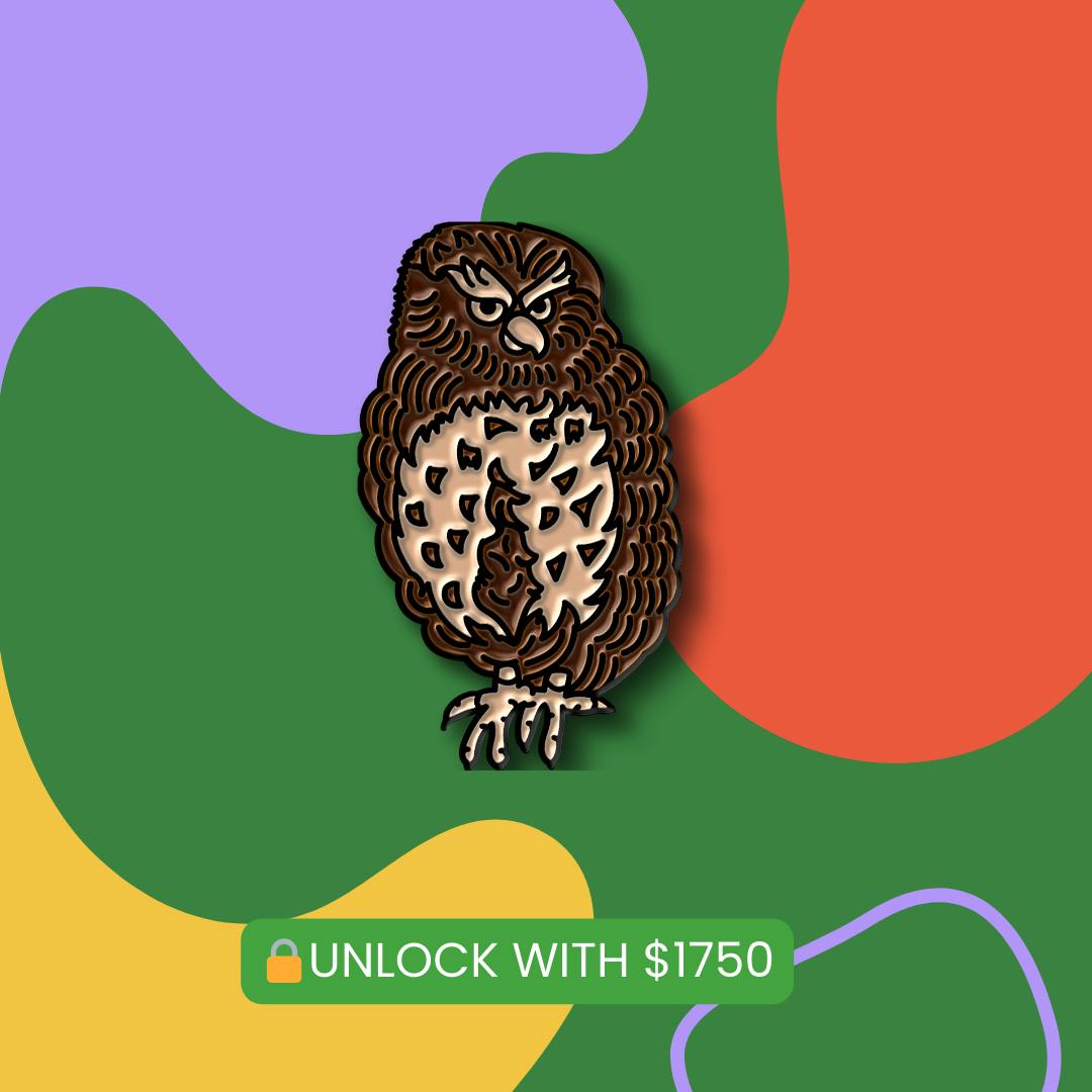 Medieval Owls: Enamel Pins - BackerKit