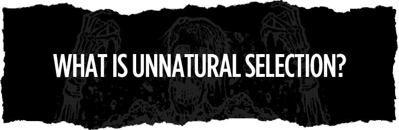 Unnatural Selection: A Supplement for use with Shadowdark - BackerKit